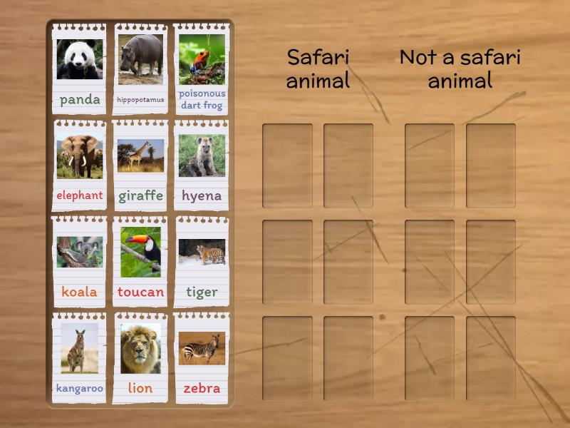 safari animals - Group sort