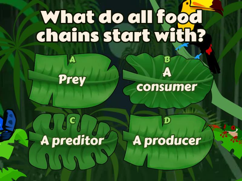 Food Chains - Quiz