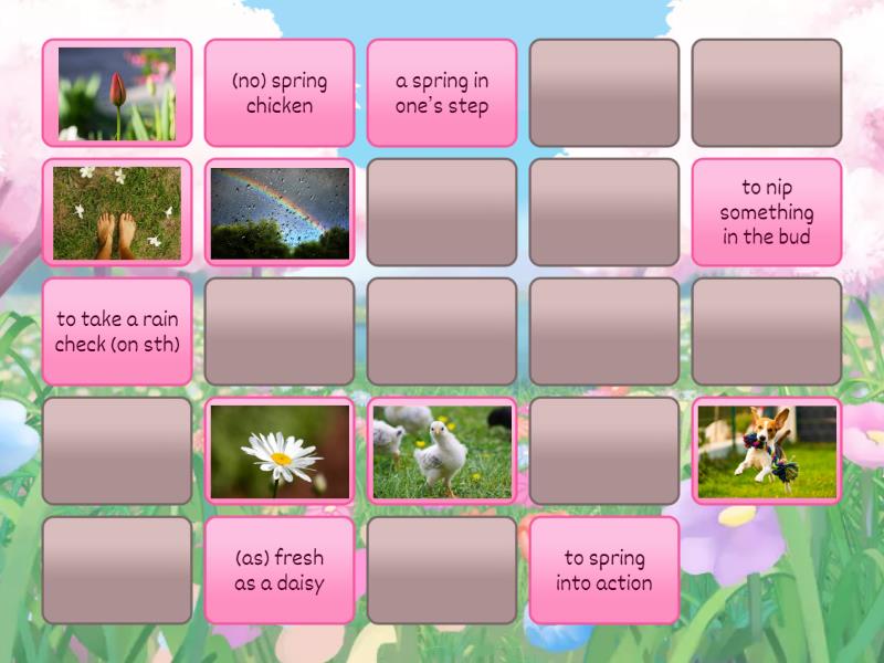 Spring idioms - memo - Matching pairs