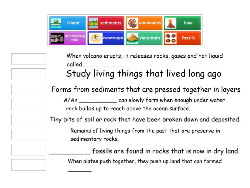fossil and rocks Grade 4 - Match up