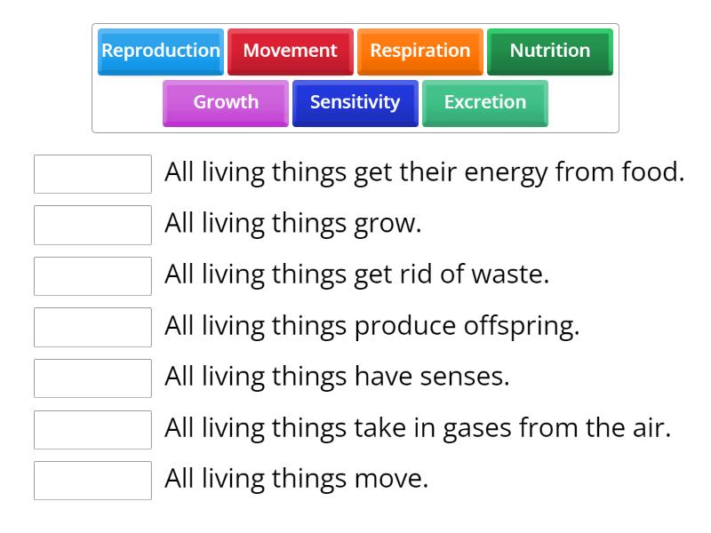 Year 2 Science Animals Including Humans (Lesson 2) - Match up