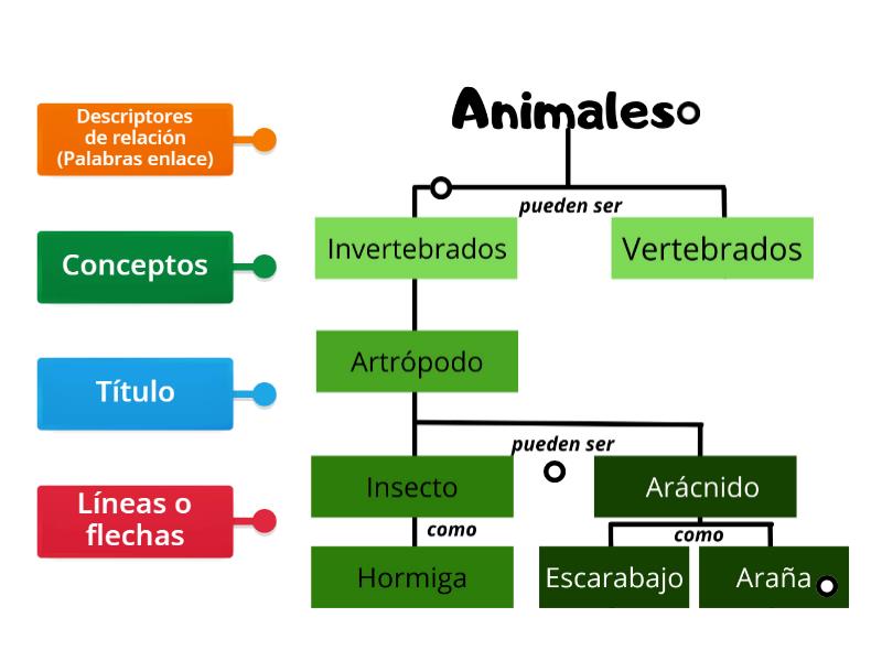 Partes del mapa conceptual - Labelled diagram