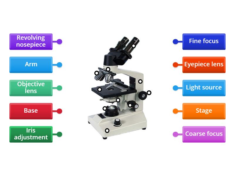 Parts of a microscope - Labelled diagram