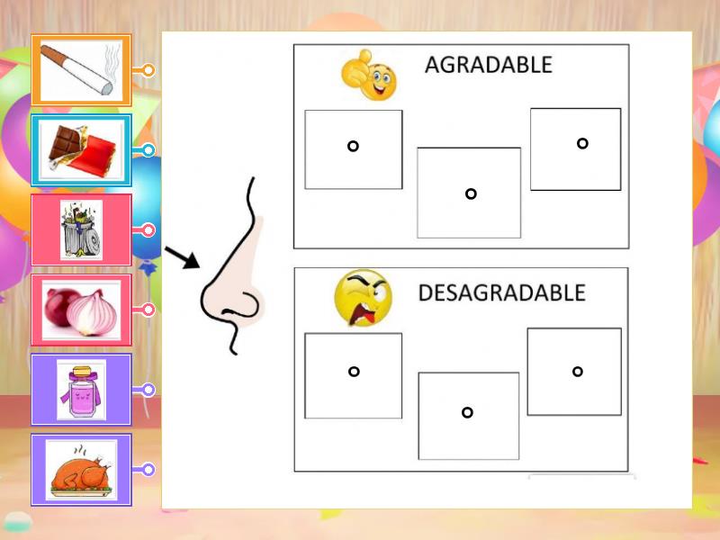 EL SENTIDO DEL OLFATO - Diagrama con etiquetas