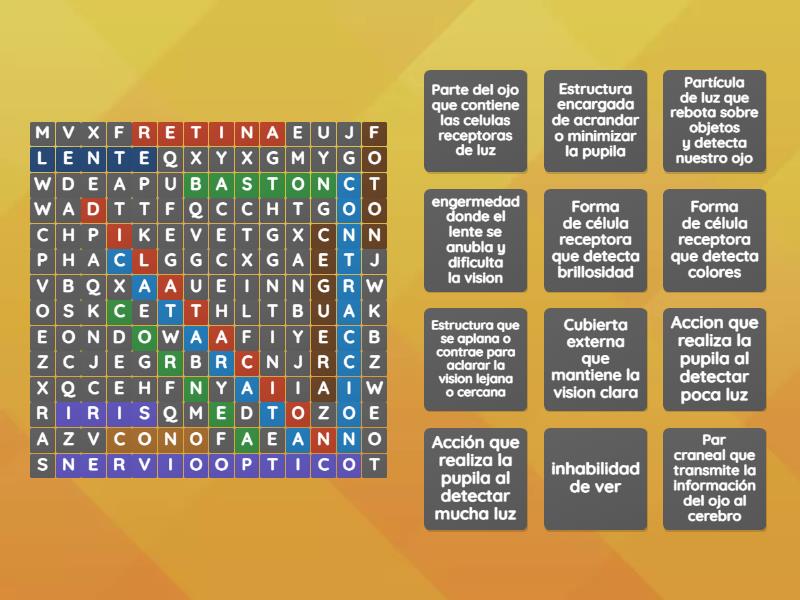 Sentido de vision - Wordsearch