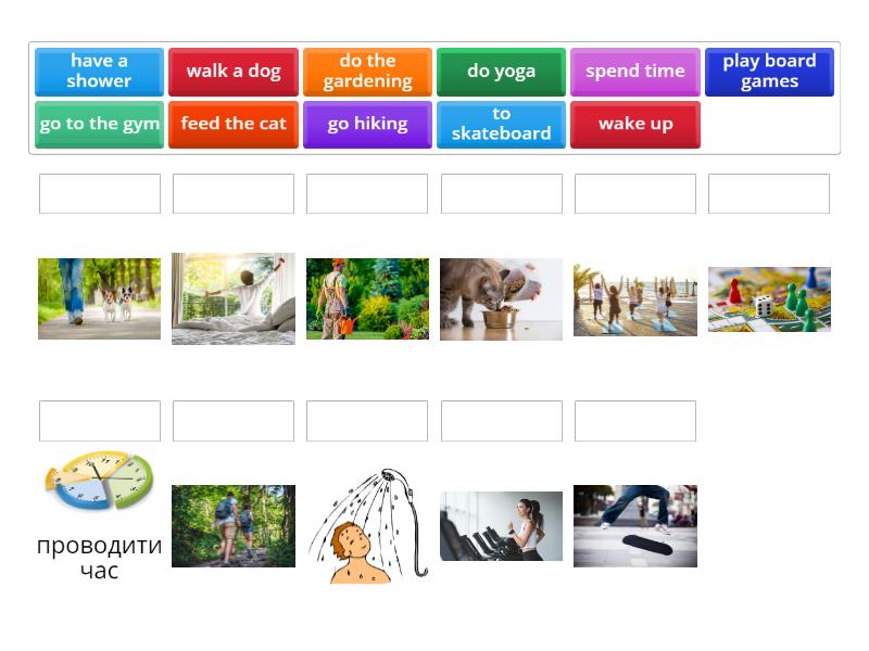present simple / daily routine activity - Match up
