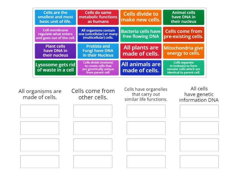 Cell Theory Part 2 - Ordenar por grupo