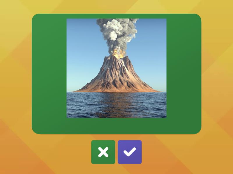 UNIT 7 - Flash cards