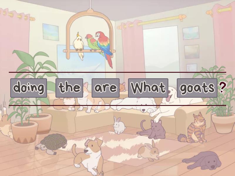 EOW2 - Unit 1 - Grammar 1 - What are they doing? - Order the words - Unjumble