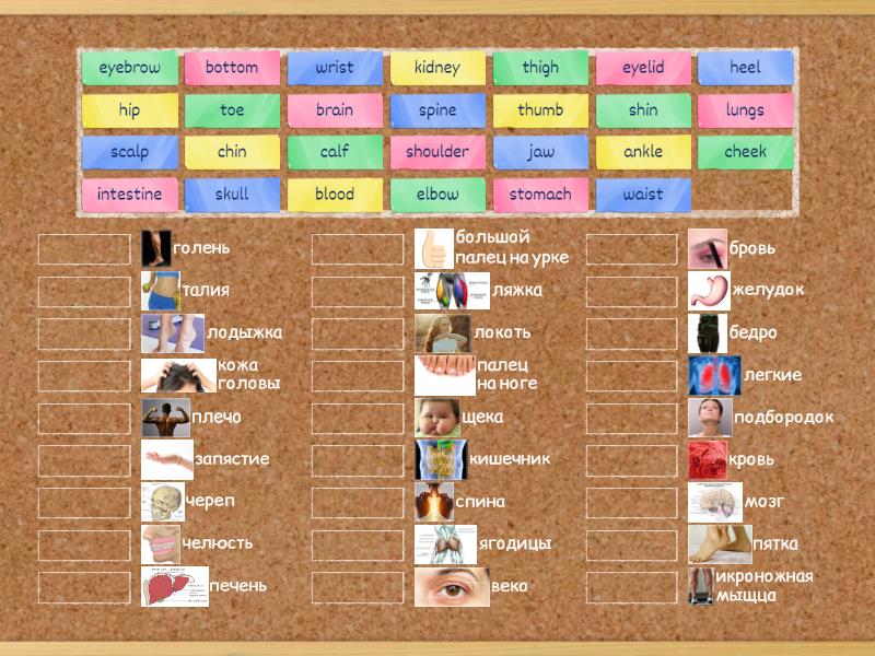 Solutions intermediate 3A - Match up
