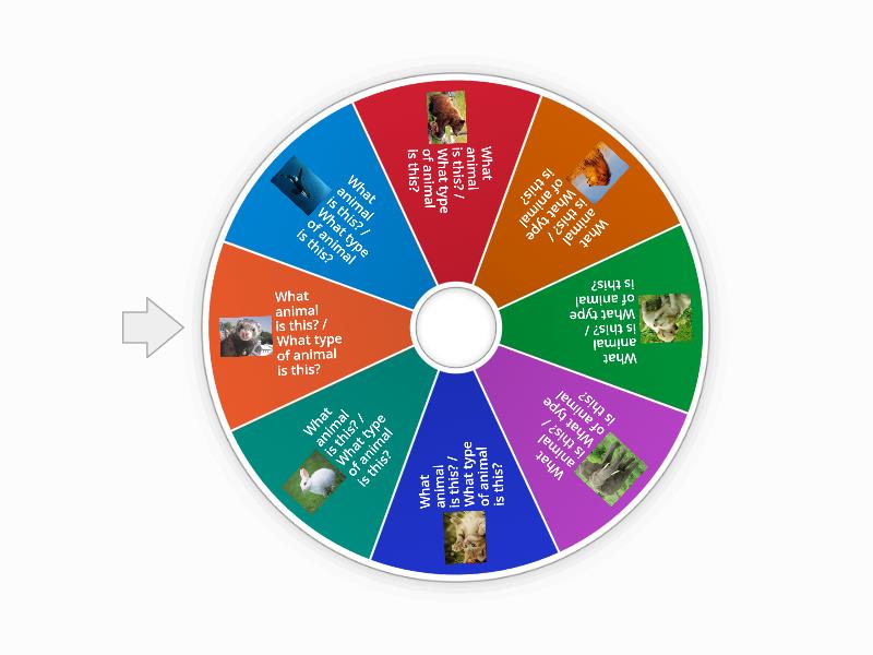 Recognizing the type of animal - Spin the wheel