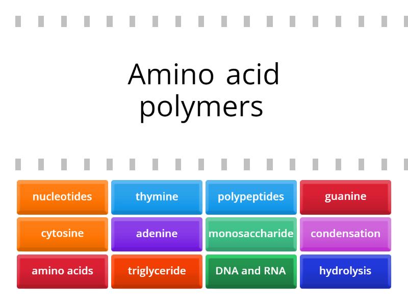 Biological molecules key words - Find the match