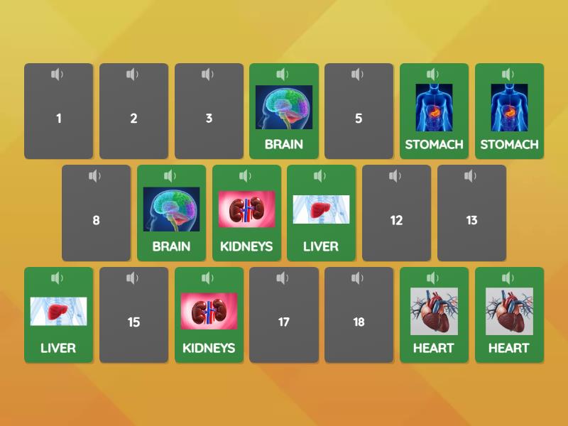 MEMORY GAME: HUMAN ANATOMY - - Matching pairs