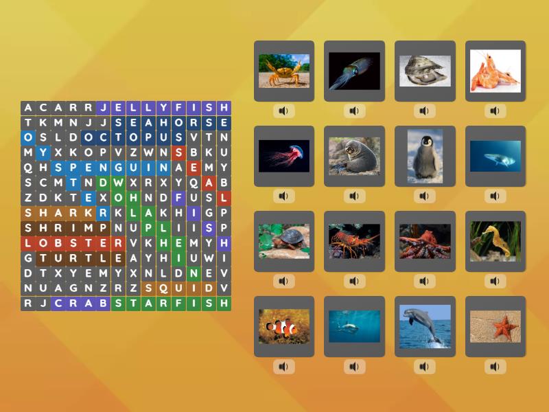 Sea animals - Wordsearch