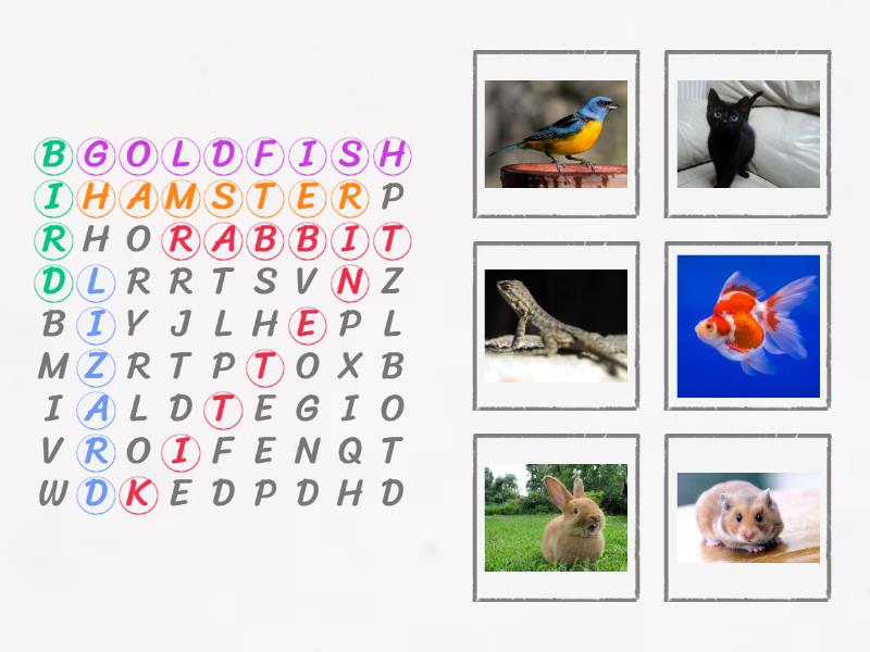 Oxford discover 1 Unit 2 - Wordsearch