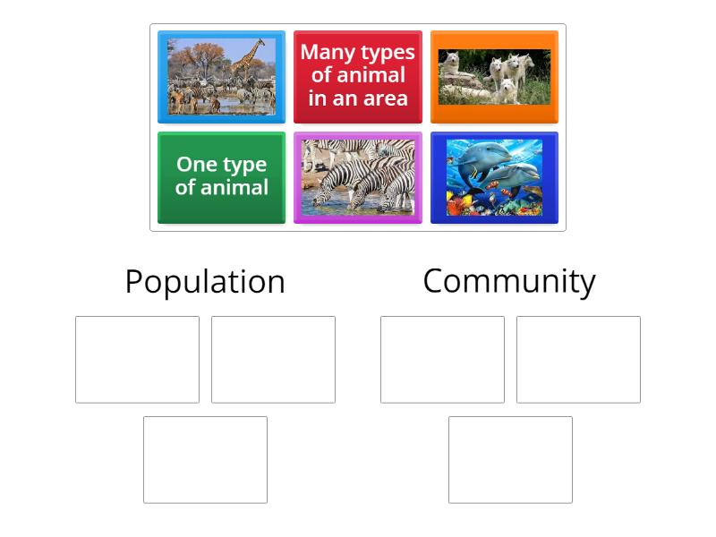 Population vs Community - Group sort