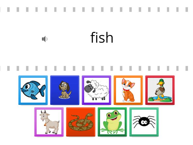 Unit 1 Animals - Find the match