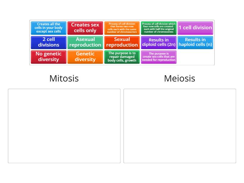Mitosis vs. Meiosis - Categorize