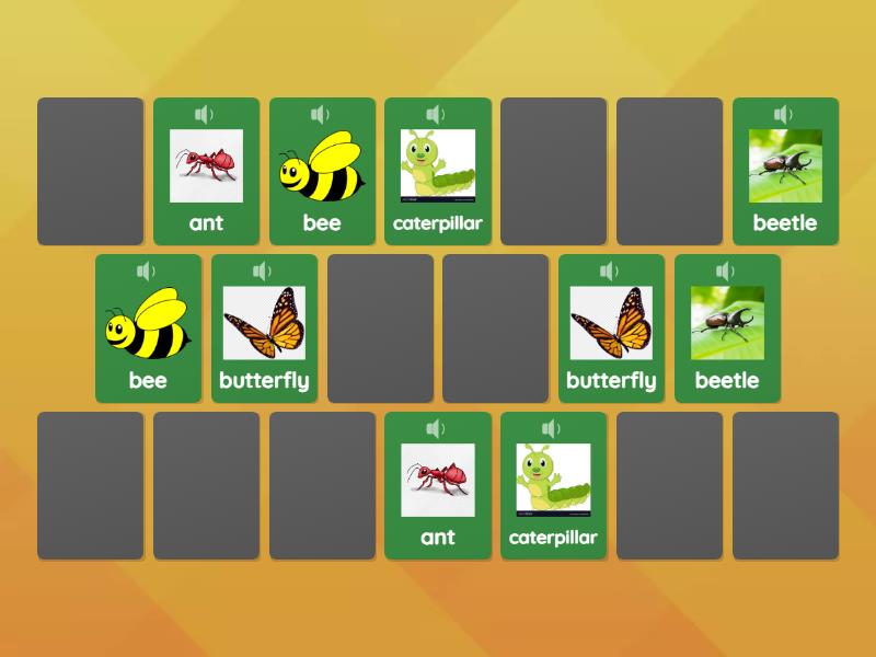 bugs - Matching pairs