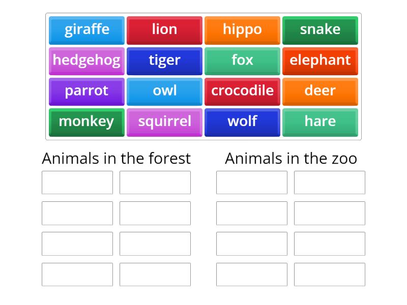 Bloggers 2 Unit 3A forest/zoo - Group sort