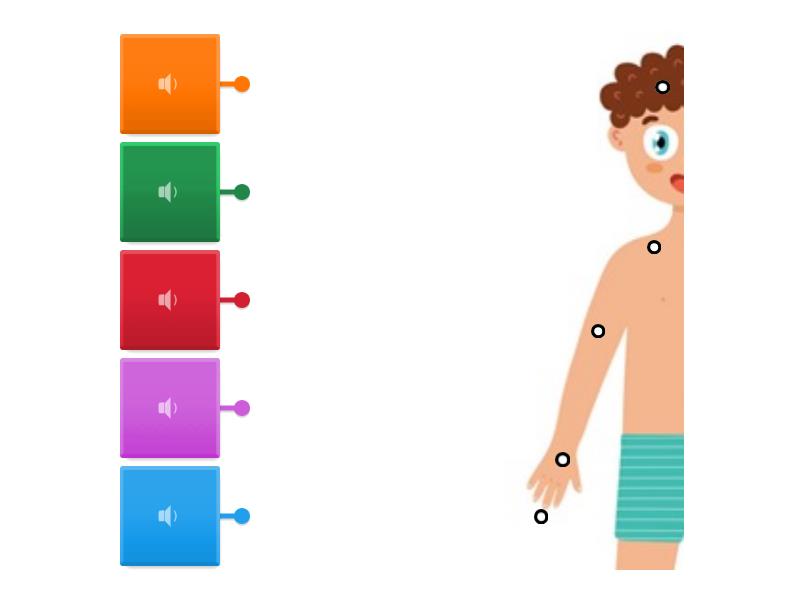Body parts label - Labelled diagram