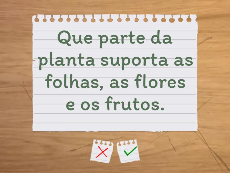 Plantas - partes de uma planta completa - Flash cards