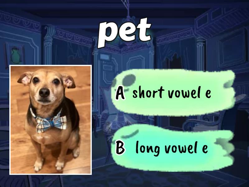 short and long vowel e - Quiz