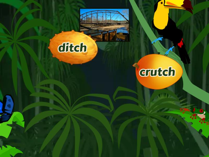 UFLI 71 TCH DGE Review - Flying fruit