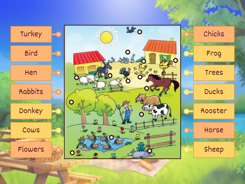 Farm animals - Labelled diagram