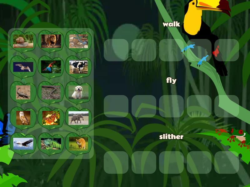 Guess What! How do animals move? UNIT 8 - Group sort