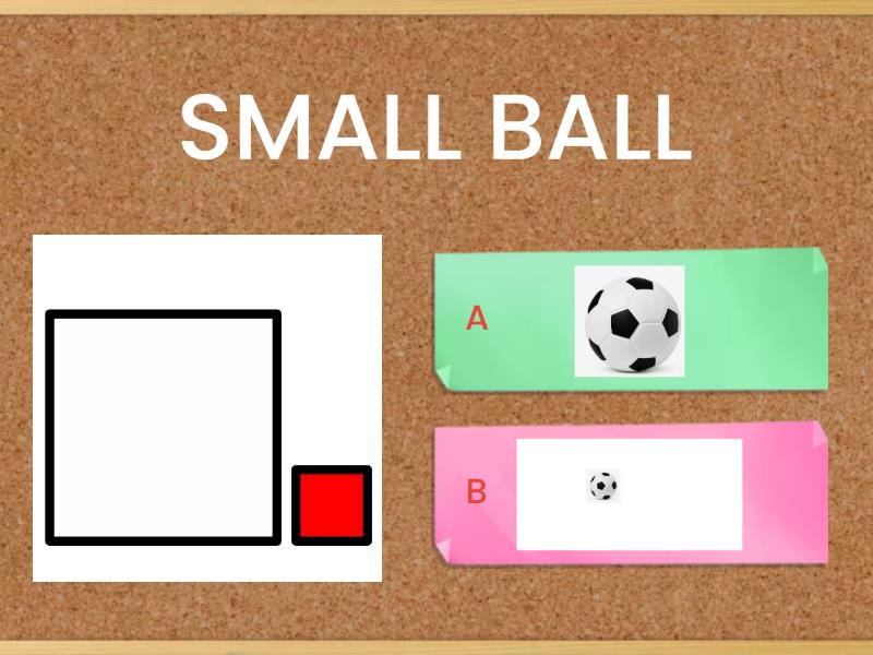 BIG SMALL - Quiz