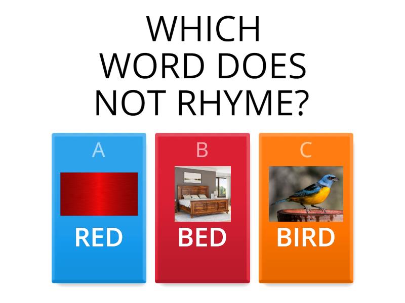 ODD ONE OUT - THE EYE BOOK - Quiz