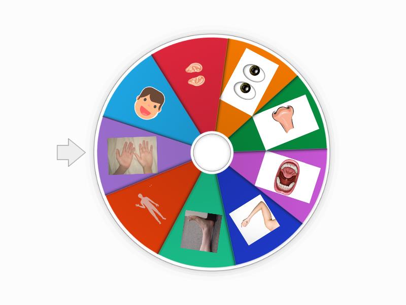 Body parts gradi - Spin the wheel
