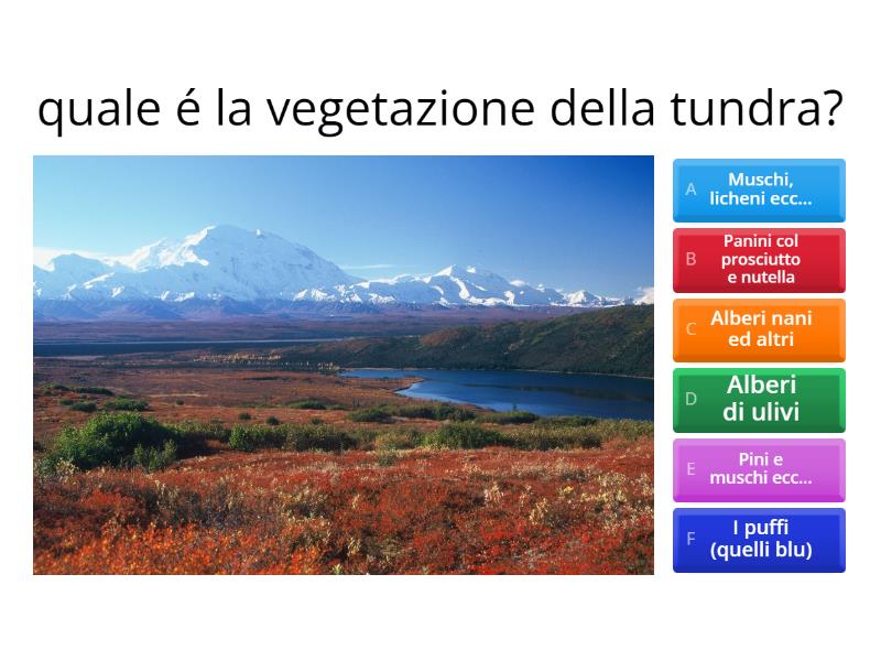 SUI BIOMI E GEOGRAFIA 1F (DA TRAYARDER) - Quiz