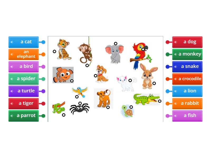 Leah all animals - Labelled diagram