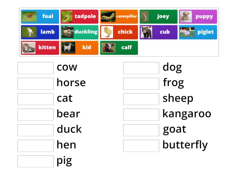 Offspring/Parent Match - Match up