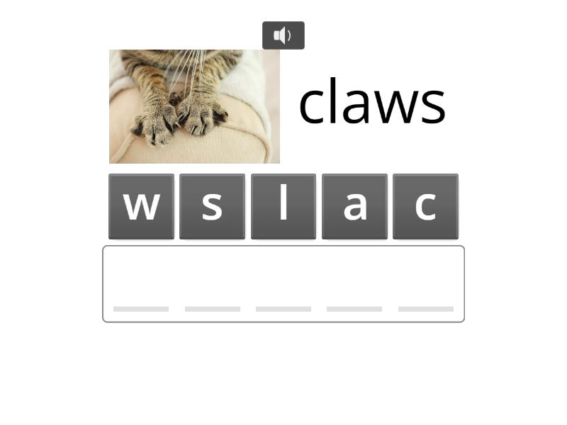 Animals + body parts - Anagrama