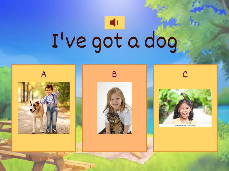 Kid's box starter Unit 7 - Quiz