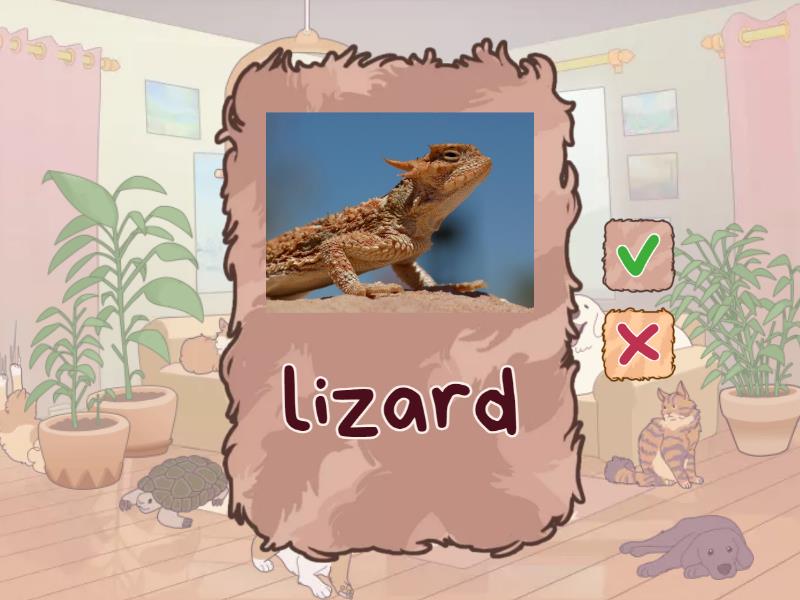 SM2 unit 2 - Flash cards