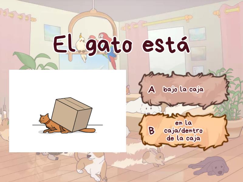 ¿Dónde está el gato? - Quiz