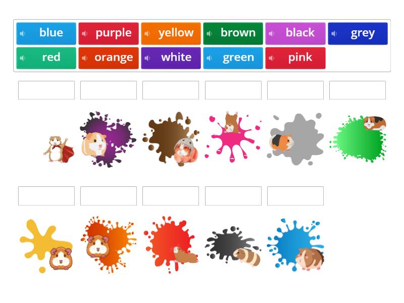 Find the match Colours - Match up