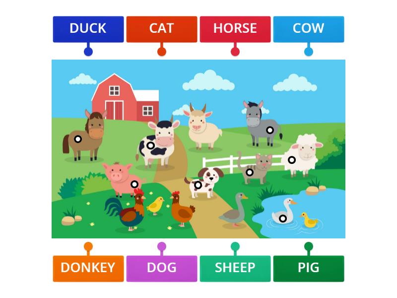 FARM ANIMALS - Labelled diagram