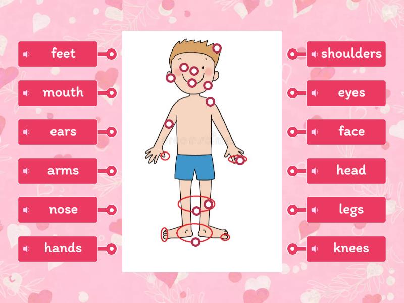 Preschool - I can touch my eyes - Labelled diagram