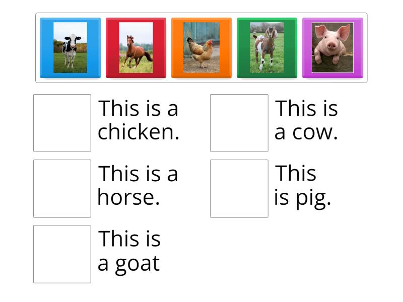 Farm Animals Activity - Match up