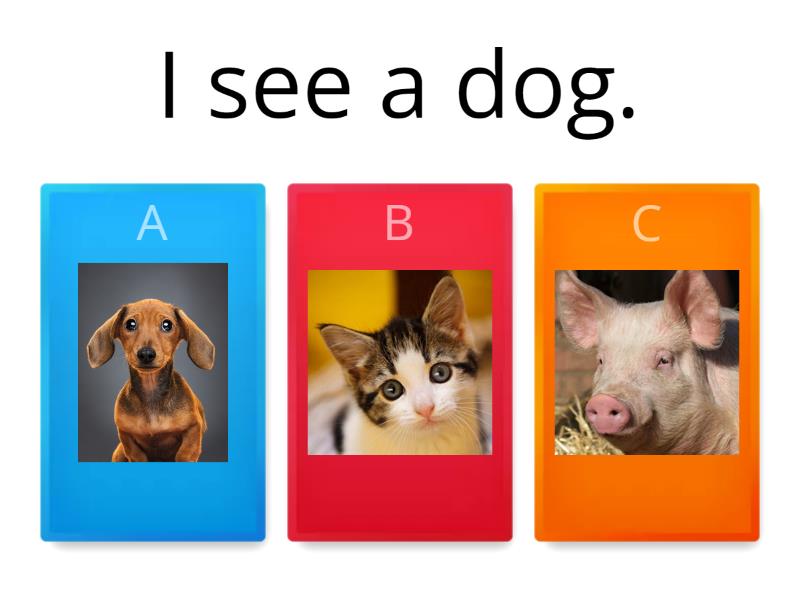Look and See - Quiz