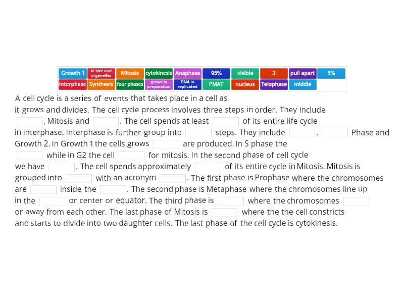 Cell cycle, Biomolecules and Enzymes - Complete the sentence