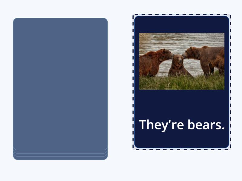 Unit 6 . Animals. - Speaking cards