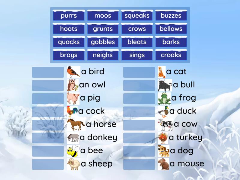 animal sounds - Match up