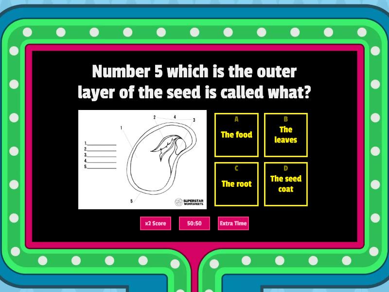 Seed Dispersal - Gameshow quiz