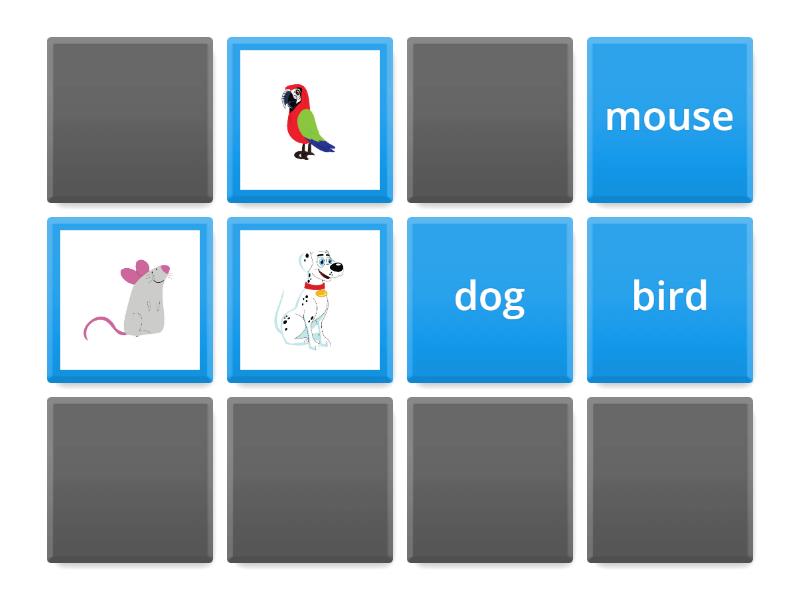 Our pets - Matching pairs